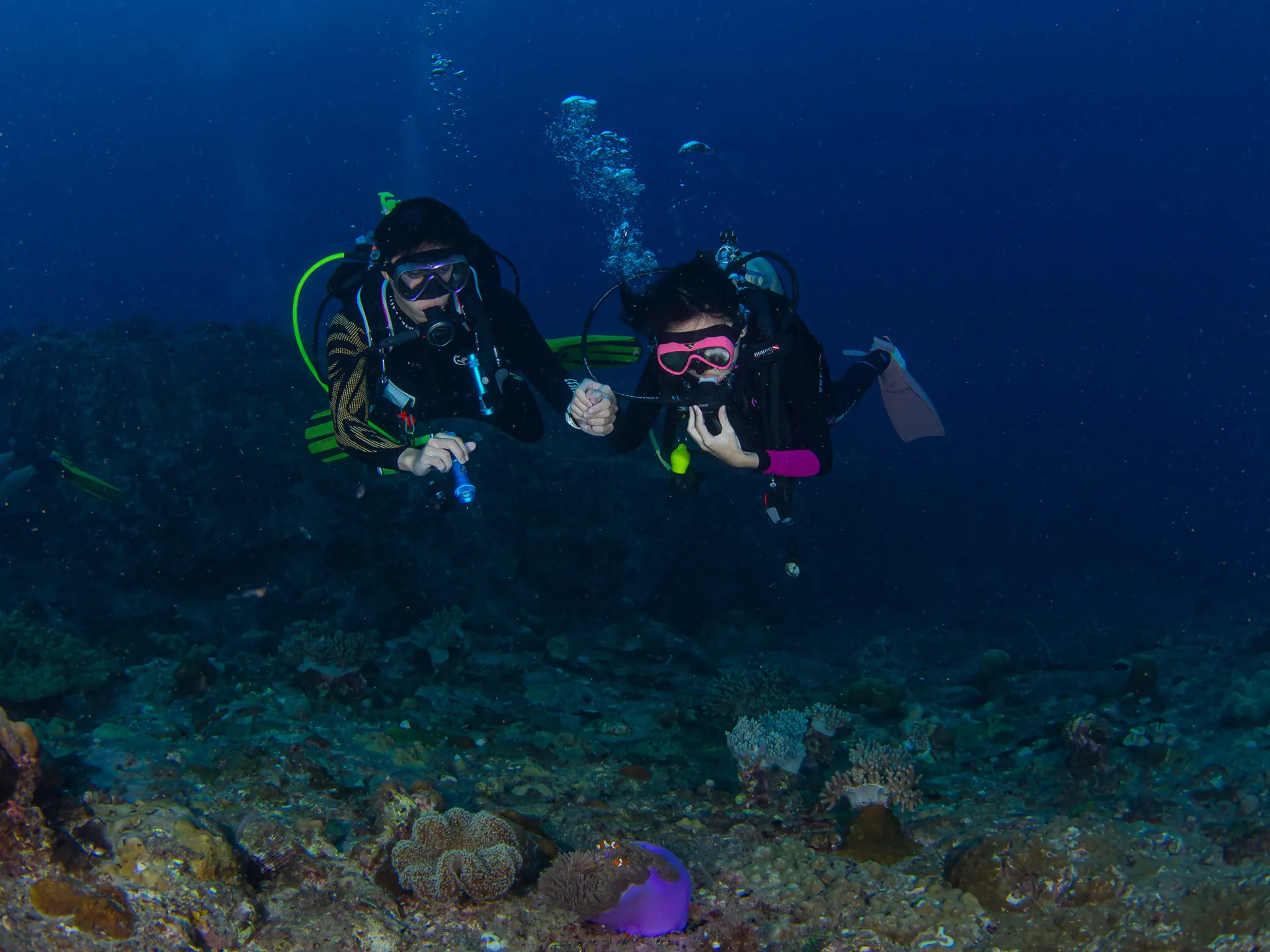 PADI Advanced Open Water Diver Course 2026 – Tenggol Dive Buddy